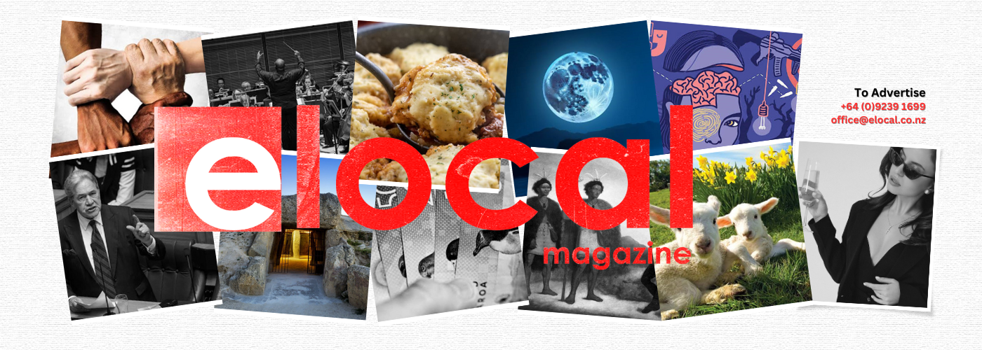 elocal magazine - Voice Media