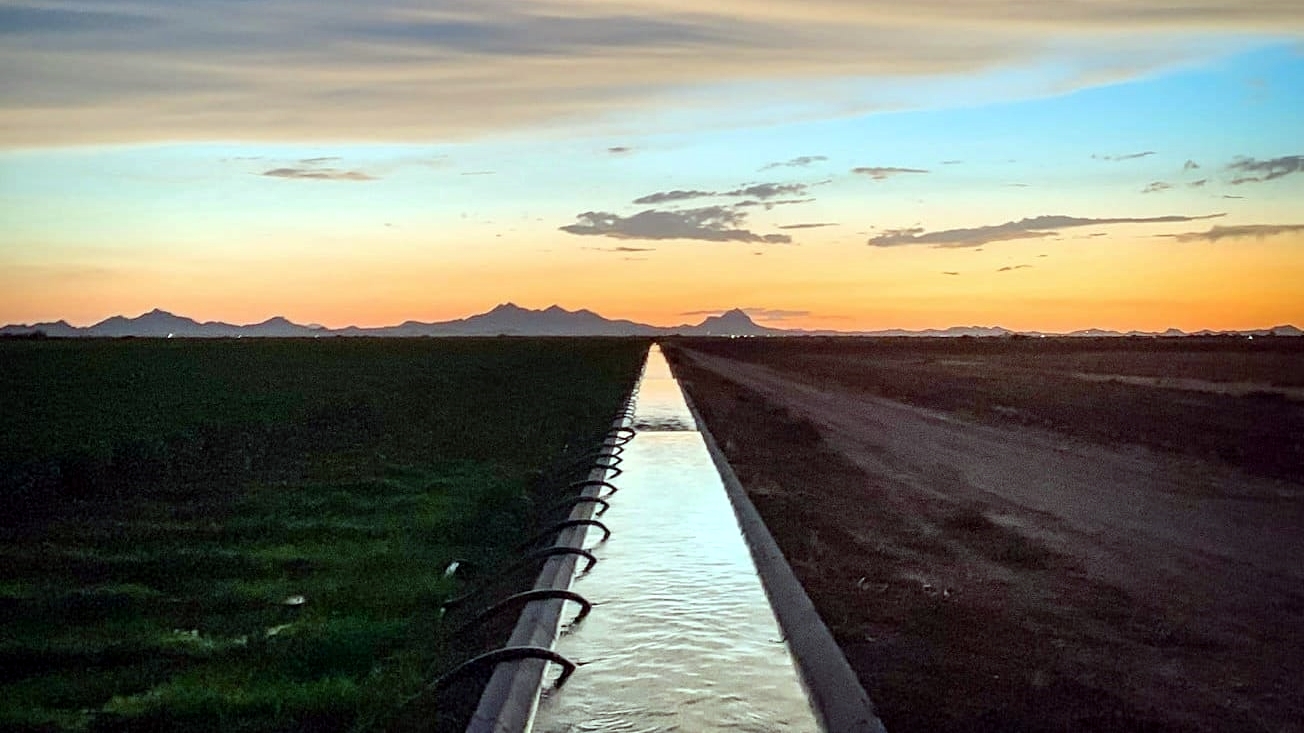 When Presented With Two Bad Choices - Voice Media