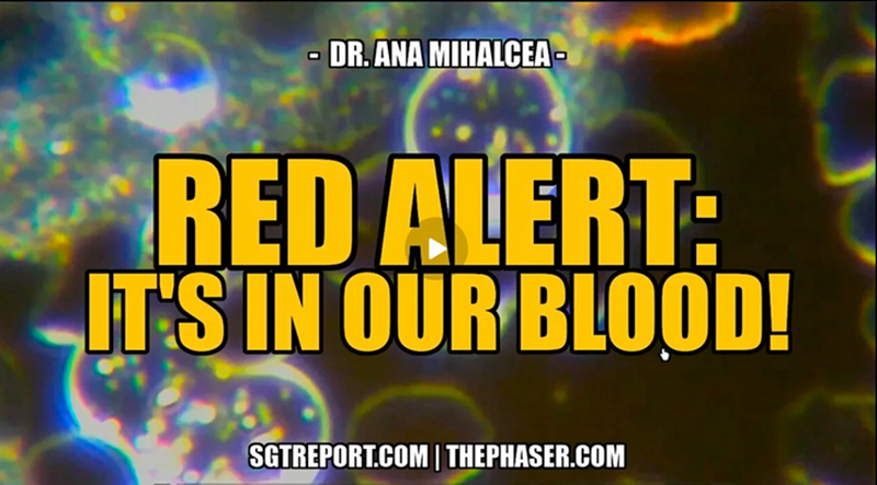 Interview On SGT Report- Red Alert: Its In Our Blood ( And How To Get ...