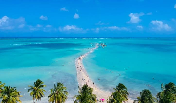 Voice Media - Your VOICE Your MEDIA